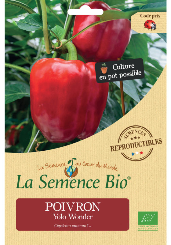 Poivron rouge bio Yolo Wonder - zoessentiels - boutique zero dechet